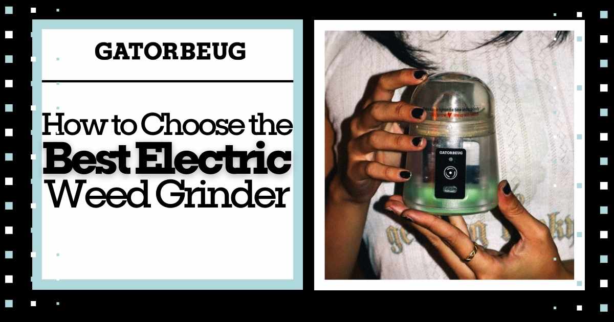 How to Choose the Best Electric Weed Grinder – Gatorbeug