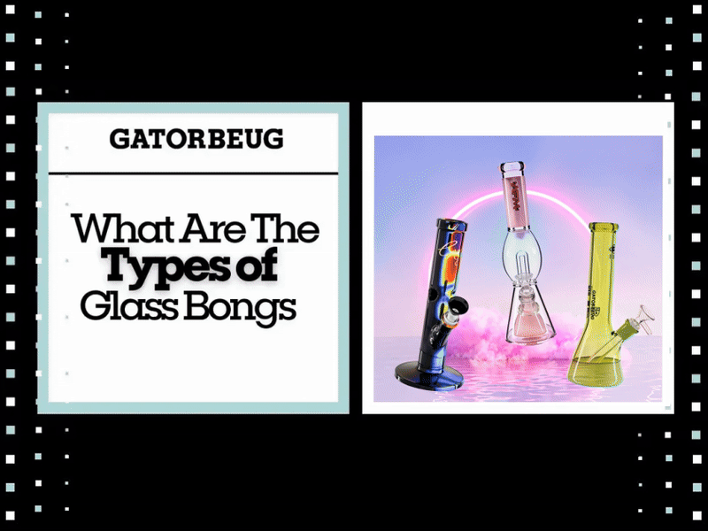 What Are The Types of Glass Bongs – Gatorbeug