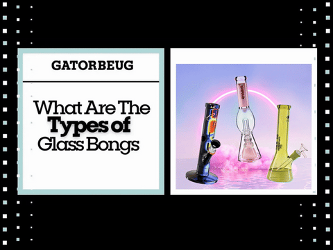 What Are The Types of Glass Bongs – Gatorbeug