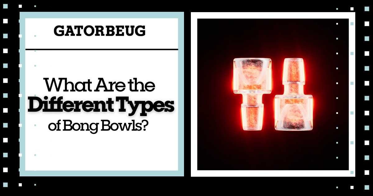 What Are the Different Types of Bong Bowls? – Gatorbeug