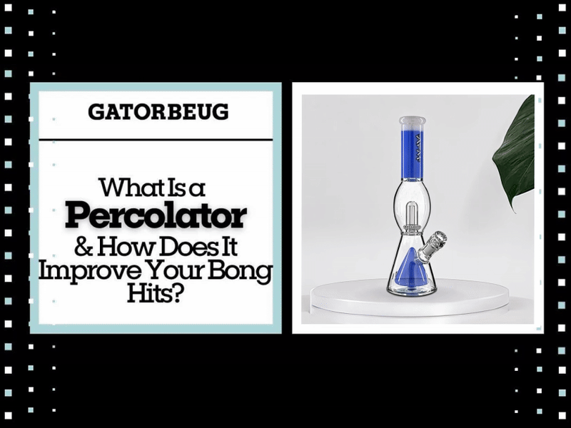 What Is a Percolator and How Does It Improve Your Bong Hits? – Gatorbeug