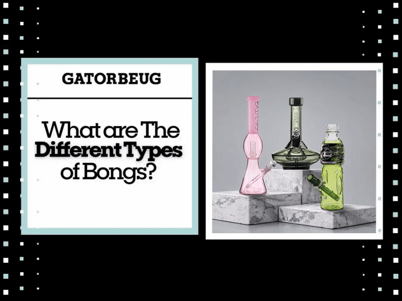 What are The Different Types of Bongs? – Gatorbeug