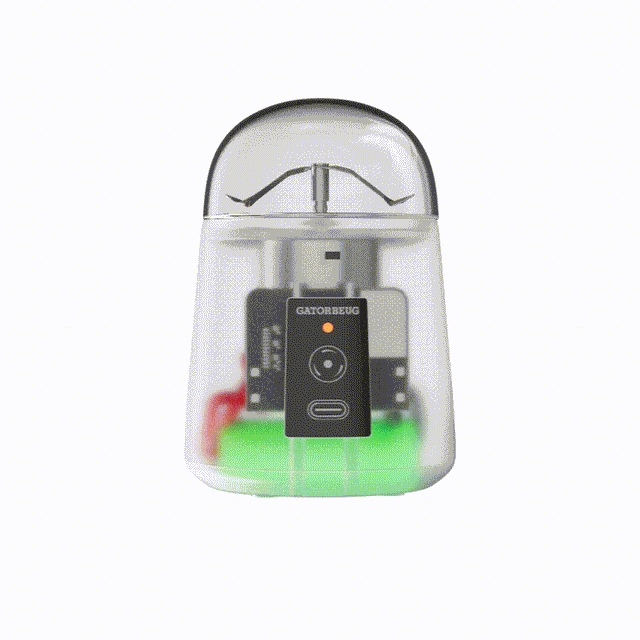 MiniMuzz Crystal Purple Bears – Gatorbeug